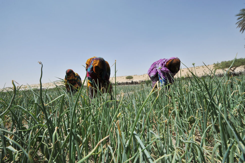 An Innovative Project to Strengthen the Resilience of Women Farmers to ...