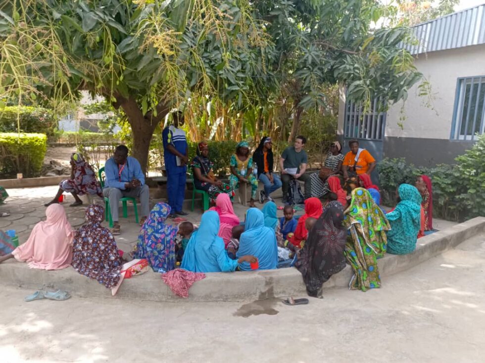 Humanitarian impact in Cameroon's Far North: lasting returns and ...